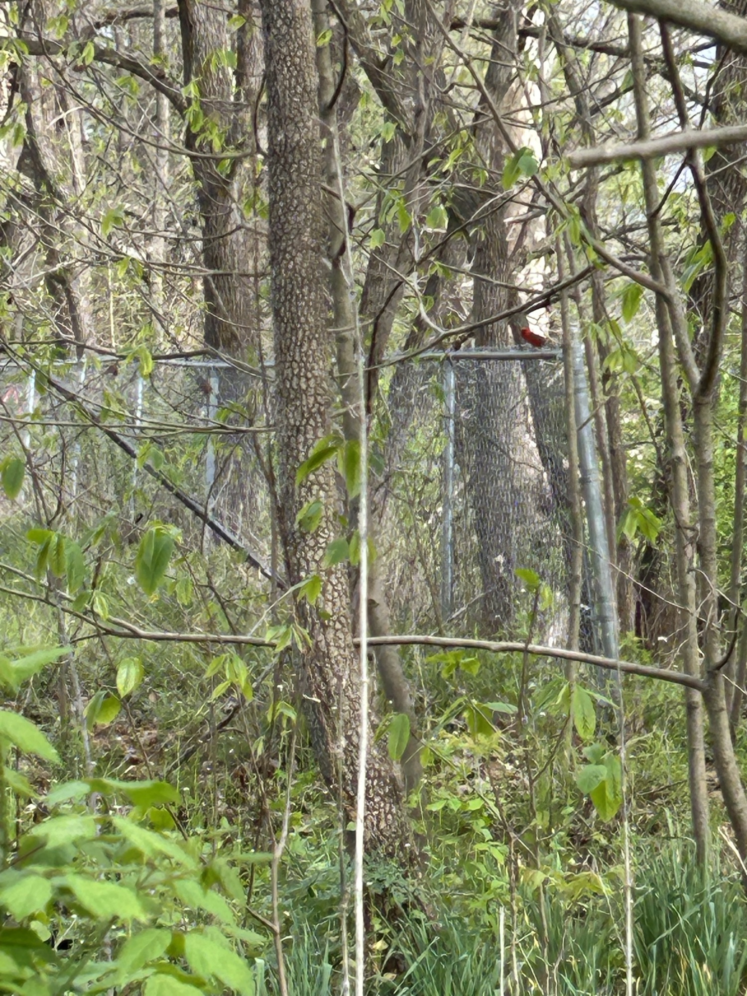 334 days of photos; day 83 – Poetry & More